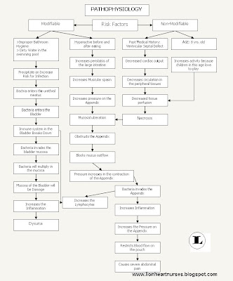 Lionheart Nurses Blog: Pathophysiology of Apendicitis
