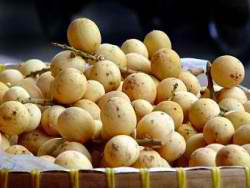 Let's Adventure to Mindoro!: Roxas, Oriental Mindoro : LITTLE TANAUAN ...