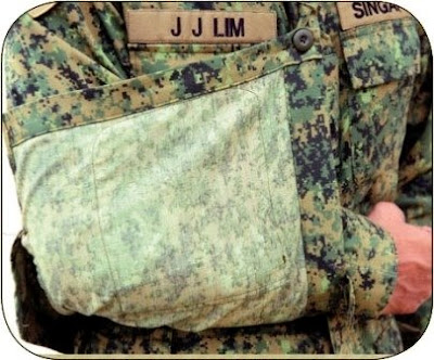 Q's Mind: New SAF Uniforms: 2