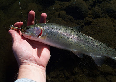 ColoradoCasters: Let’s get to know…”The Cutbow”