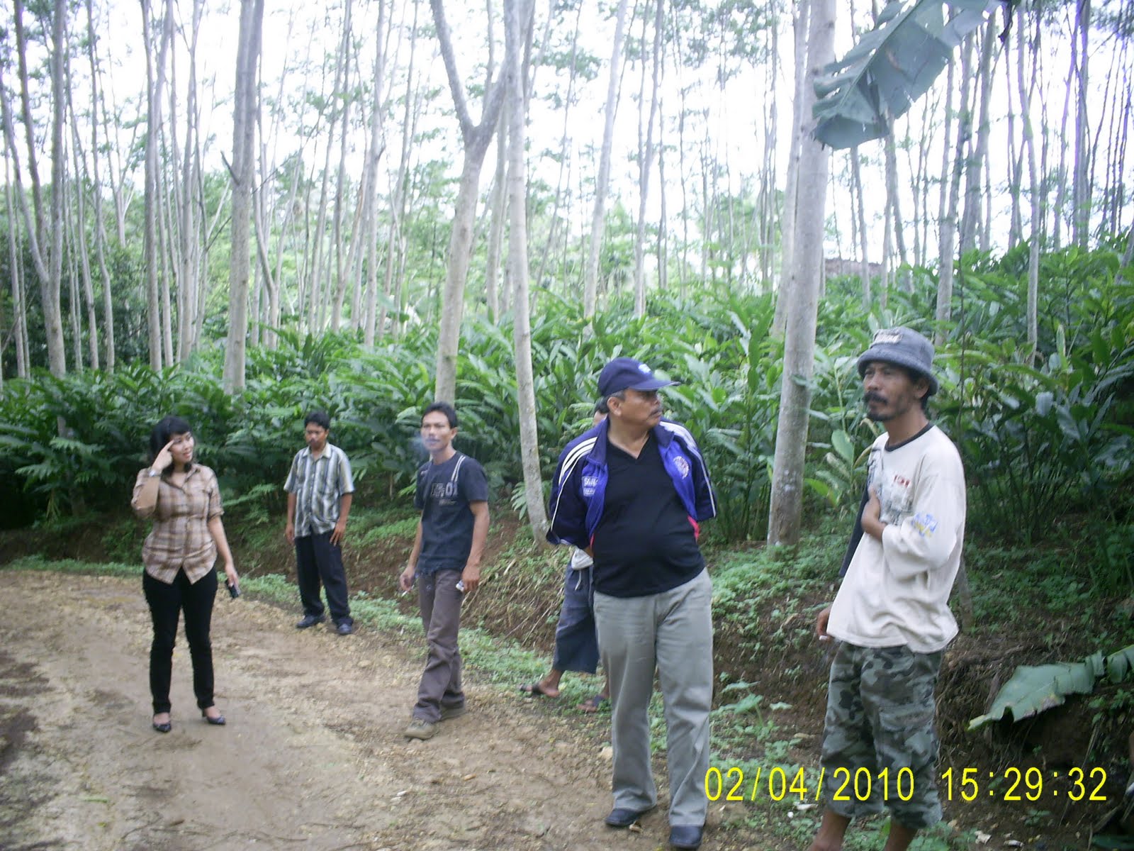 SENTRAL KAPOL DESA BOJONG - CIAMIS: JENIS - JENIS TANAMAN KAPOL