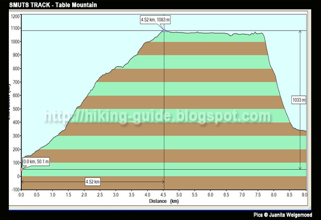 Our Hiking Guide: Hiking Smuts Track on Table Mountain