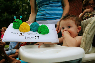 The Herb Family: Tanner's First Birthday Bash