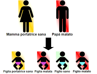 cellule numeri e altro: MALATTIE LEGATE AI CROMOSOMI SESSUALI