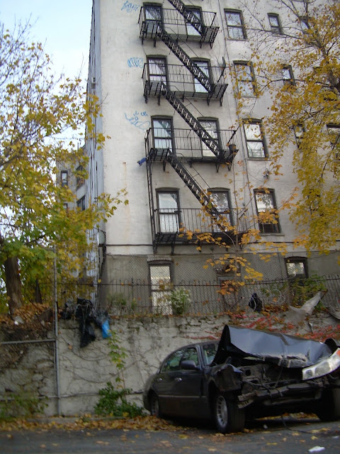 Straight Out Da Jungle: NYC Ghetto's, Bronx to Brooklyn, The Forgotten ...