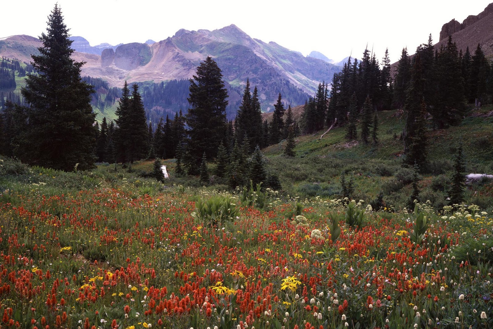 High Definition Photo And Wallpapers: random wallpapers,random ...