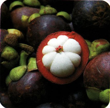 Cinta Indonesia Cinta Buah Lokal | Saya mencintai indonesia melalui ...