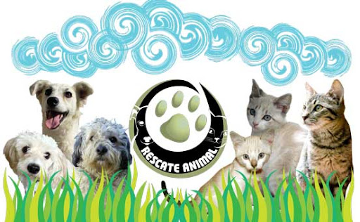 Rescate Animal: Rescate Animal: Historia y Misión