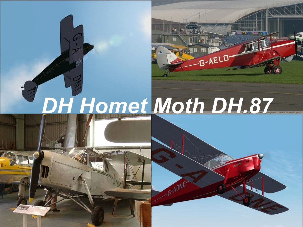 MouJack: DH Hornet Moth DH.87 (FS9)