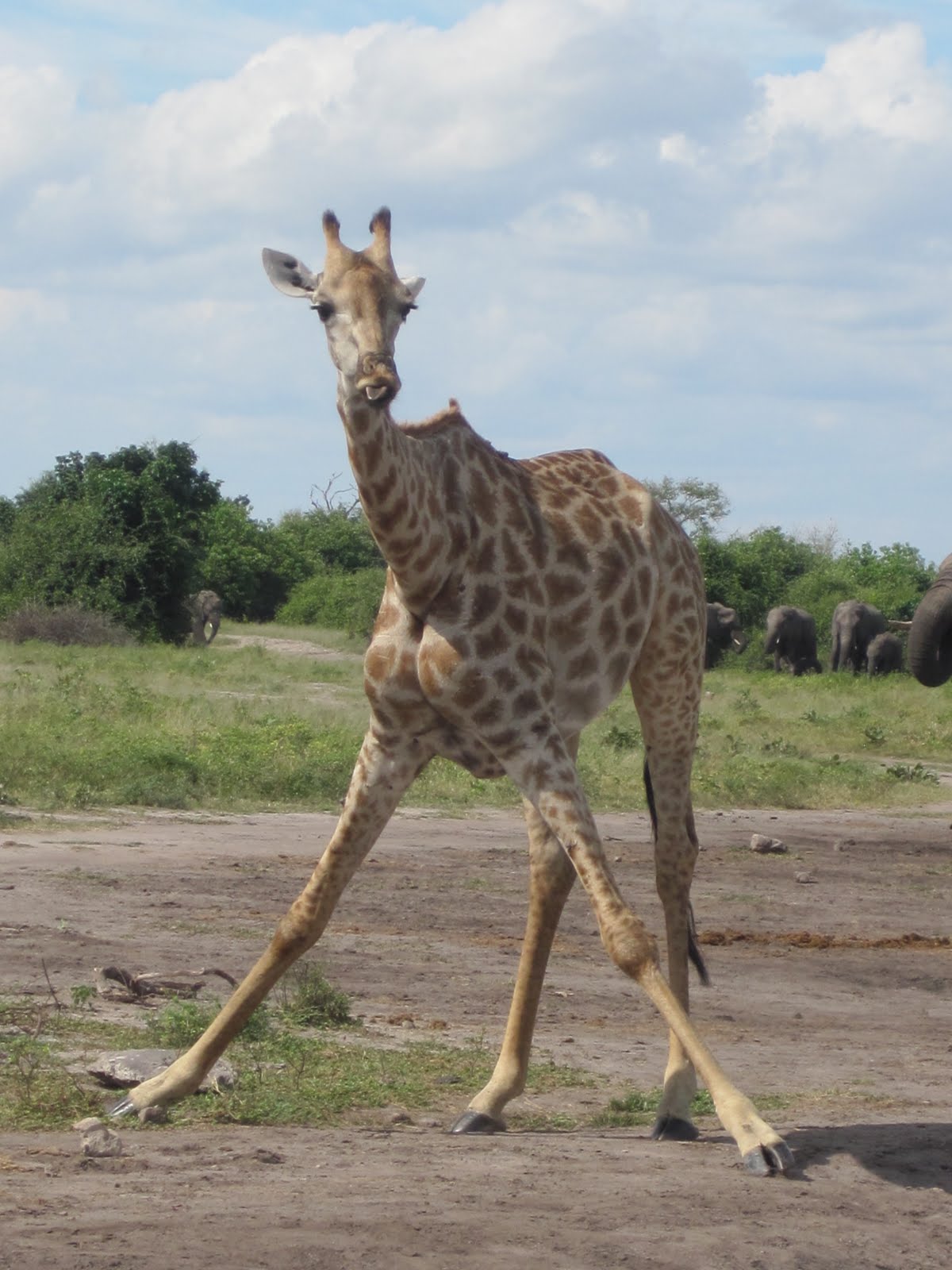 Der ingen skulle tru at nokon kunne bu...