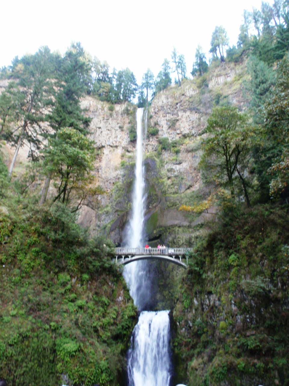Harper Happenings!: Oregon Waterfalls!