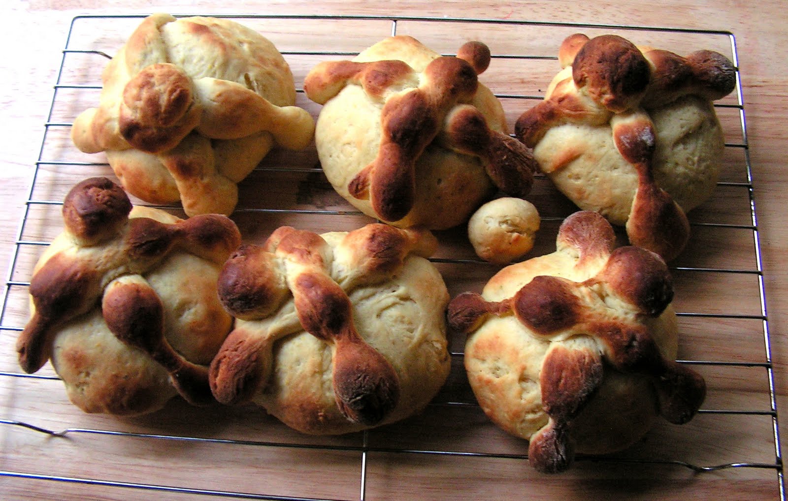 Mangio da Sola: Pan de muertos and GREAT NEWS!