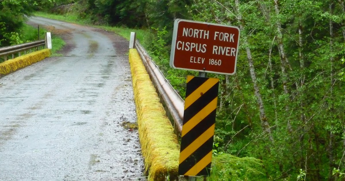 Into the Outside: NF Cispus