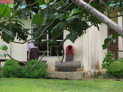 Delightful Departures: FUN FIJI FACTS 16