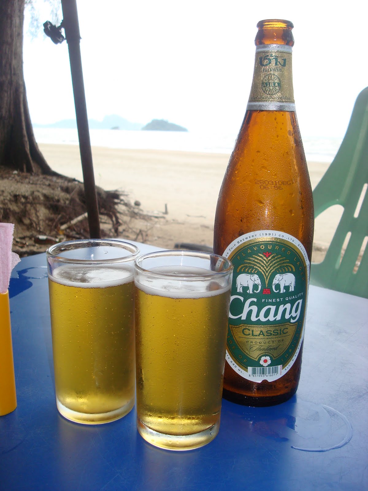 mmm mmm...good: International Beer Taste Test: Chang Beer vs. Singha Beer