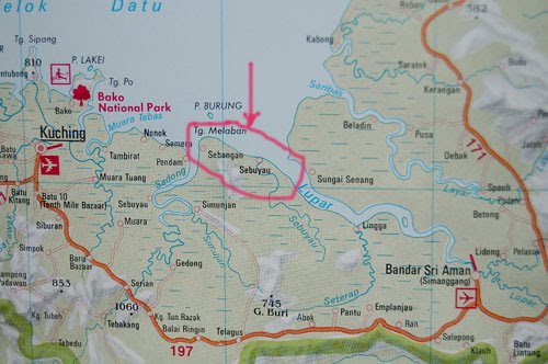 In the Present Climate: November 2009