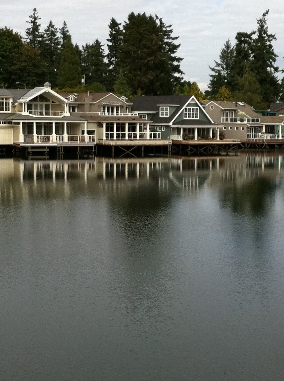 Lake Oswego Oregon "Lake Blog": Lake Oswego Oregon, Day 5 of Lake Draw Down