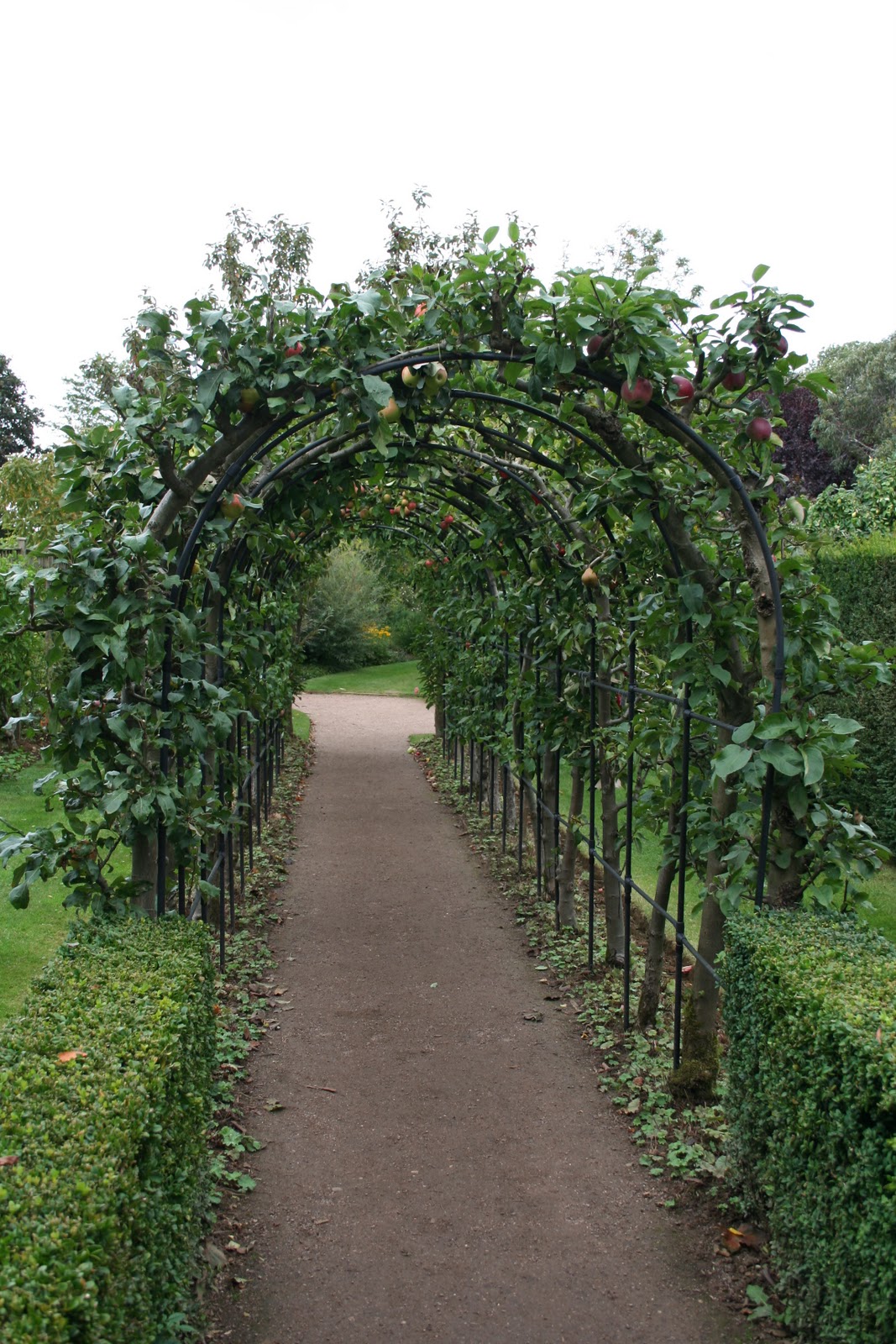 A Chef in the Garden: Barnsdale Gardens