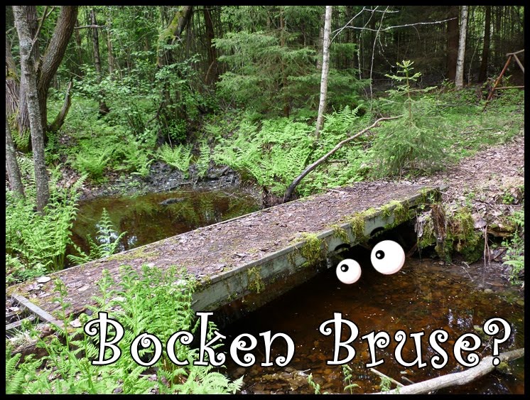 Om böcker, blommor och andra b-traktelser: Troll i skogen?