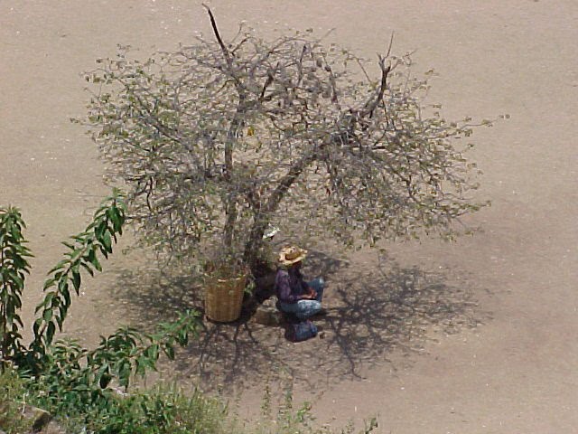 Warren's Words: And Yet Poets, Too, Bestow Meaning-Making Blades ...