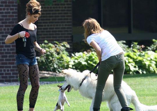 Jú More e Lua Fashion: Saiba tudo sobre "LOL", o novo filme de Miley ...