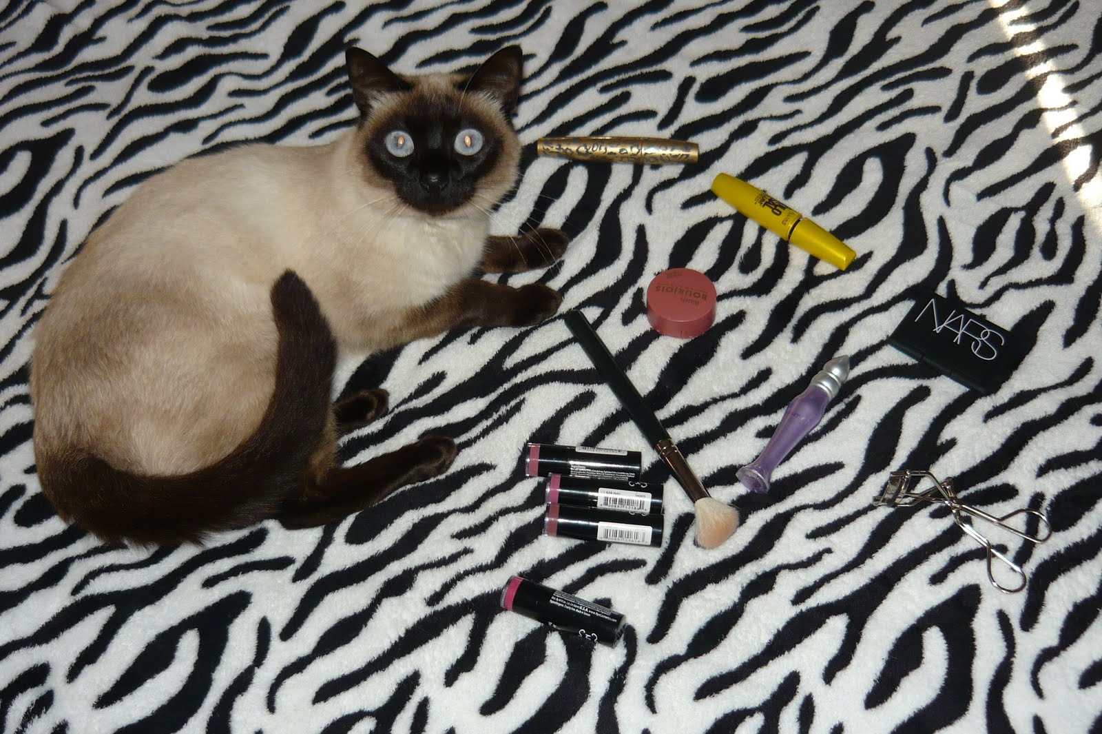 Femme Fatale by Jeh: NYX - Spell Bound!