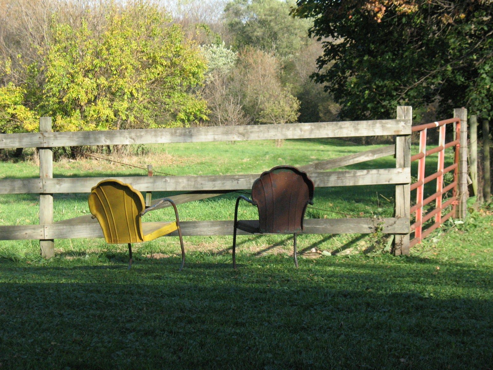 Tales of Tumbledown Farm