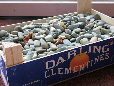 Really Reusable: Clementine Boxes! - Making Lemonade