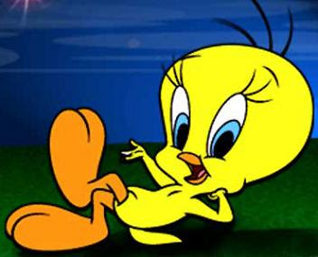 Piolin bebé imagenes - Imagui