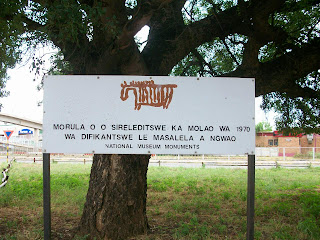 Dumela from Botswana: The Morula Tree