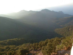 Jawla.dz: Séraïdi : Village féerique avec fôret, sources, plages...