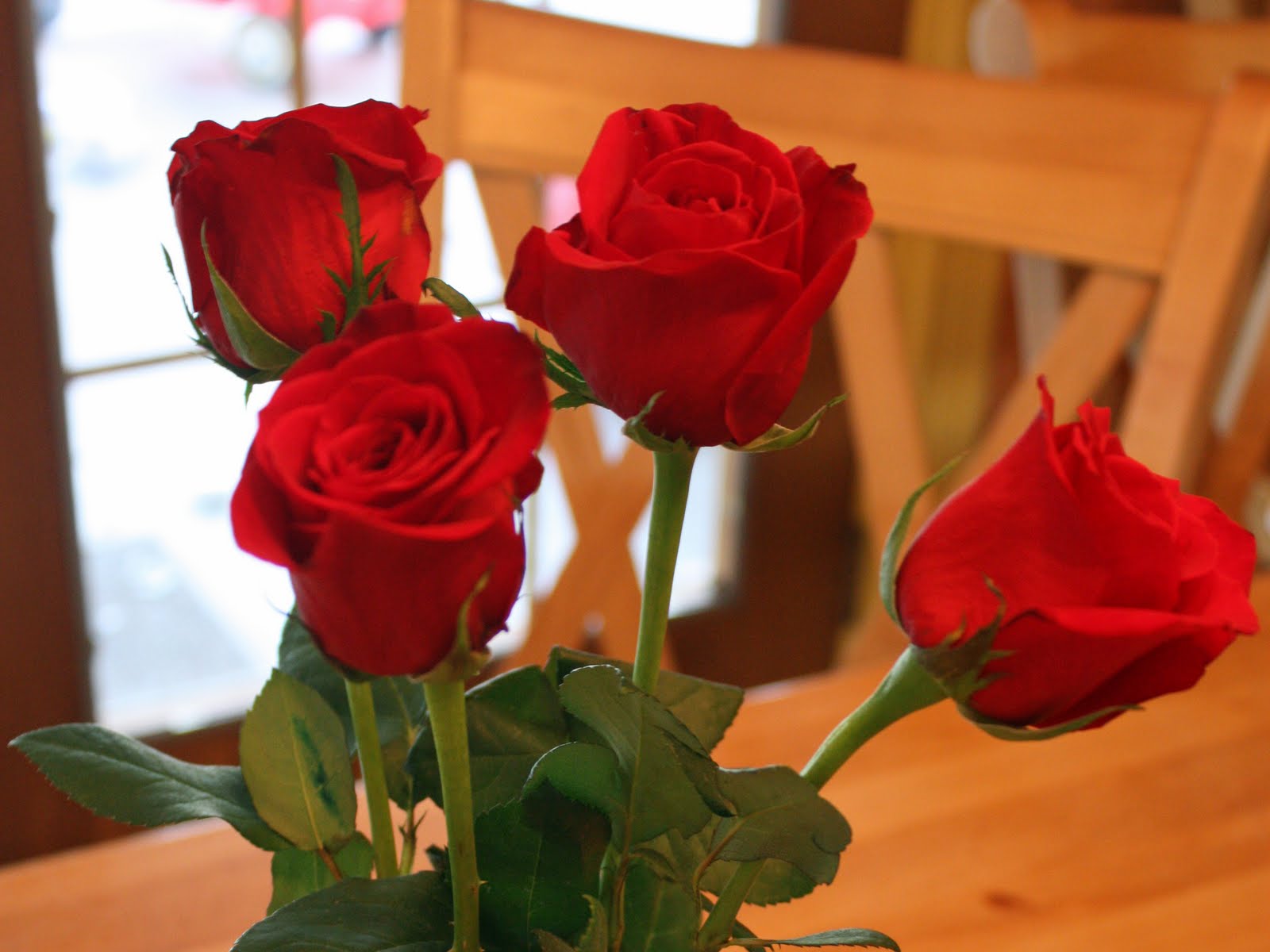 Фото 4 Роз – Telegraph