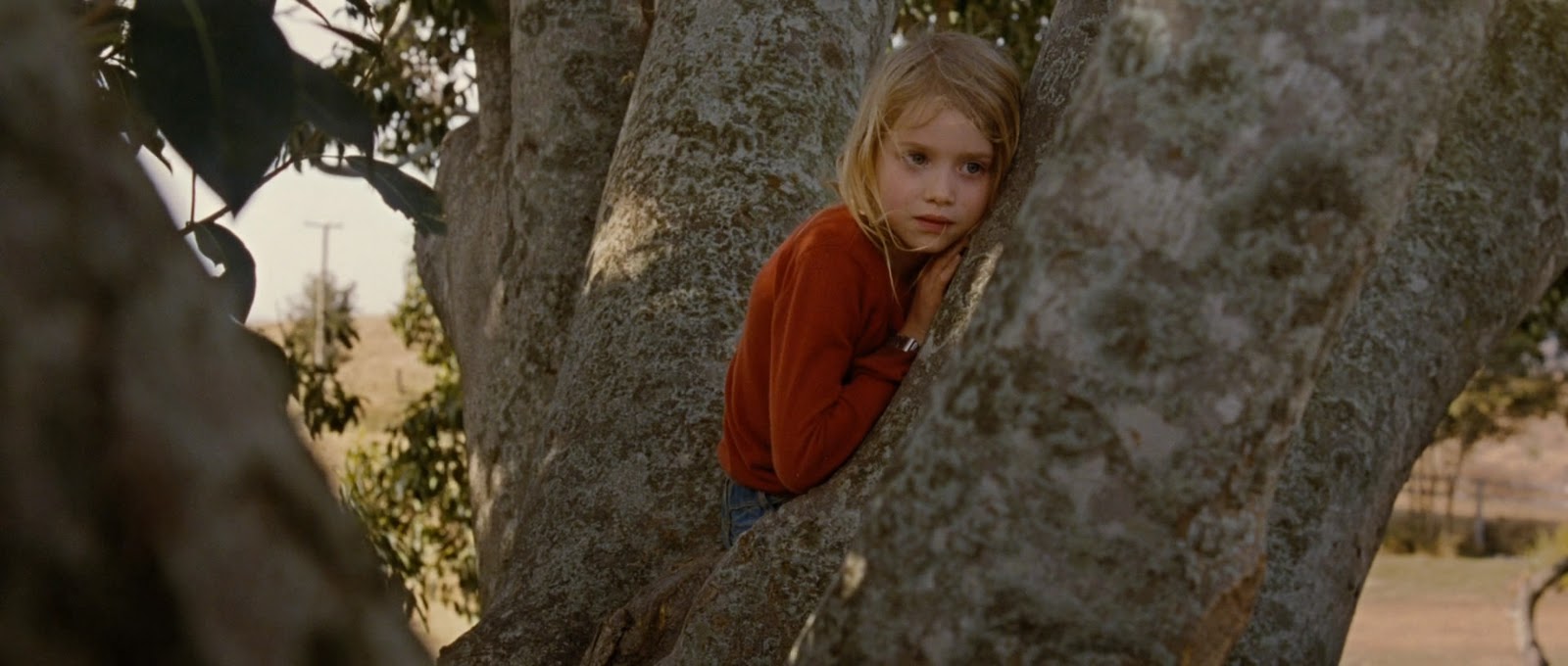 The Tree (2010 film) - Alchetron, The Free Social Encyclopedia