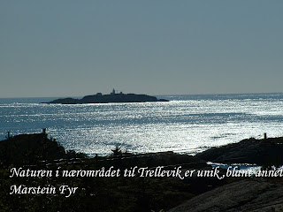 Ove sin blogg: Ordføraren i ulike rollar