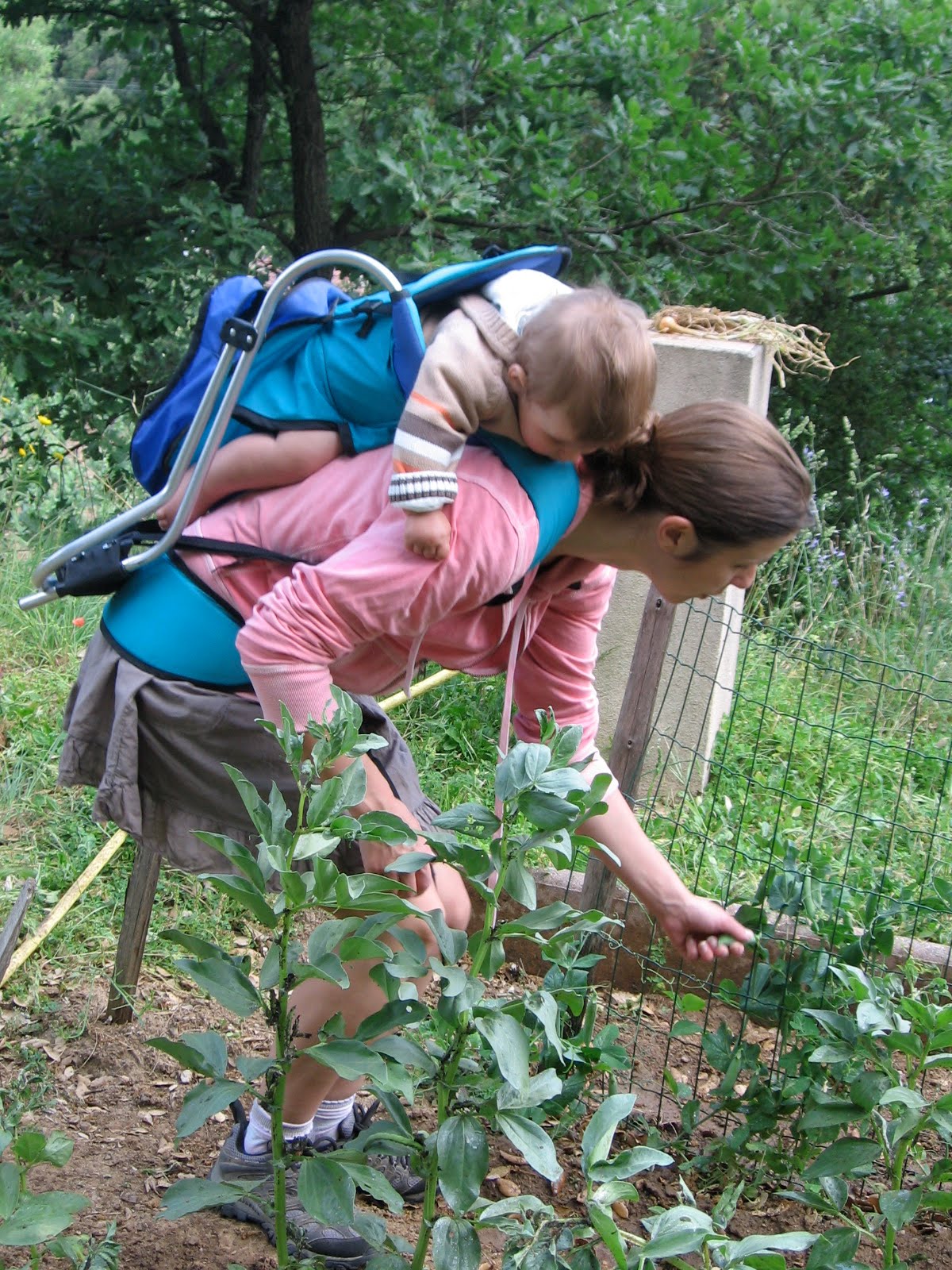 Finlay Geoffrey McCall