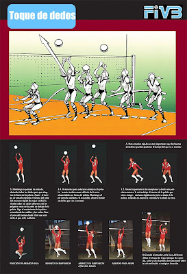 eduvoley: Toque de dedos