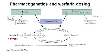 Pharmacogenetics and Variability in Drug Response: Warfarin ...