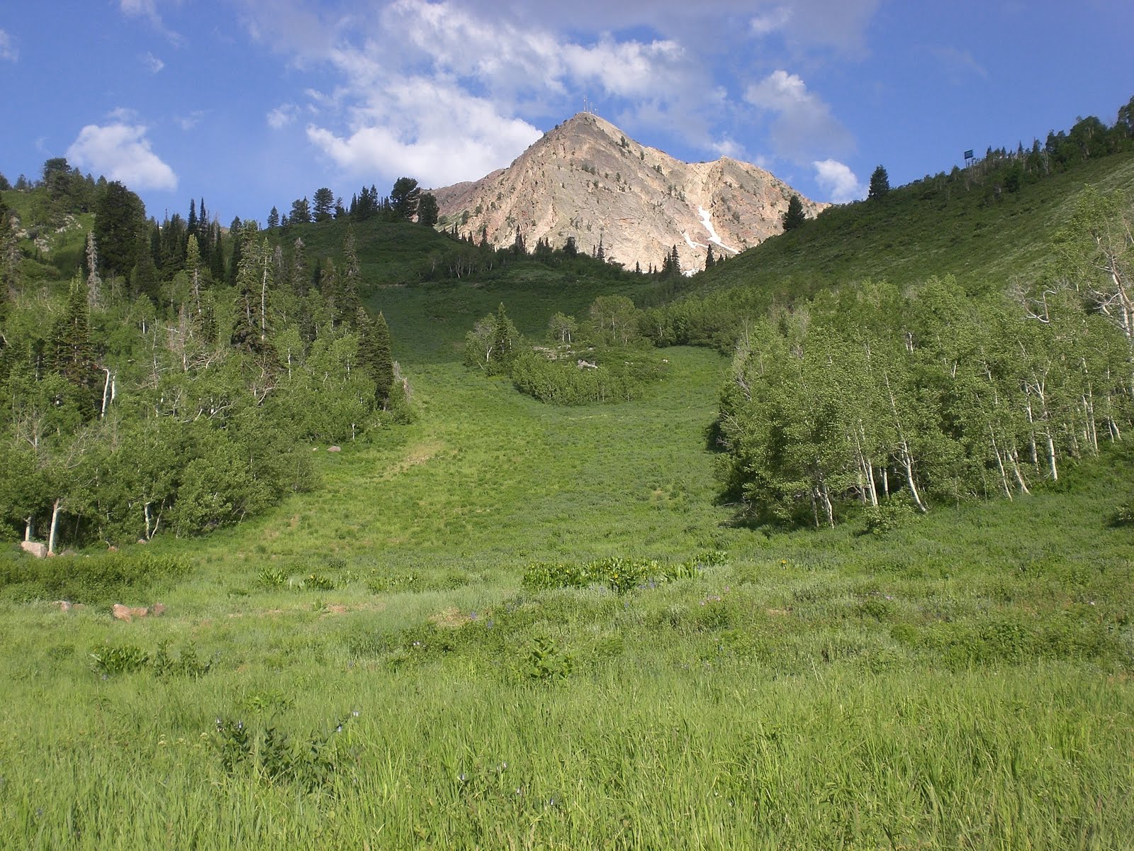 Backcountry Explorer: Mount Ogden and Allen Peak