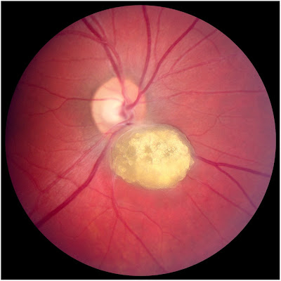 Robert Howington Photography