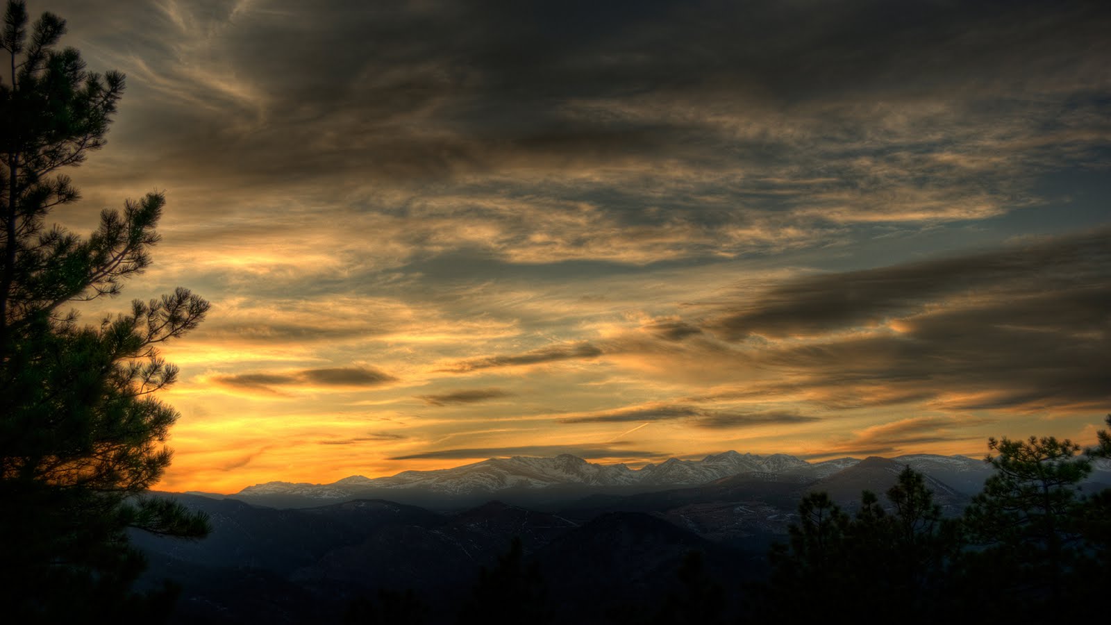 Very Sweet and Cute Animals: Free Amazing Pictures (30 imágenes ...