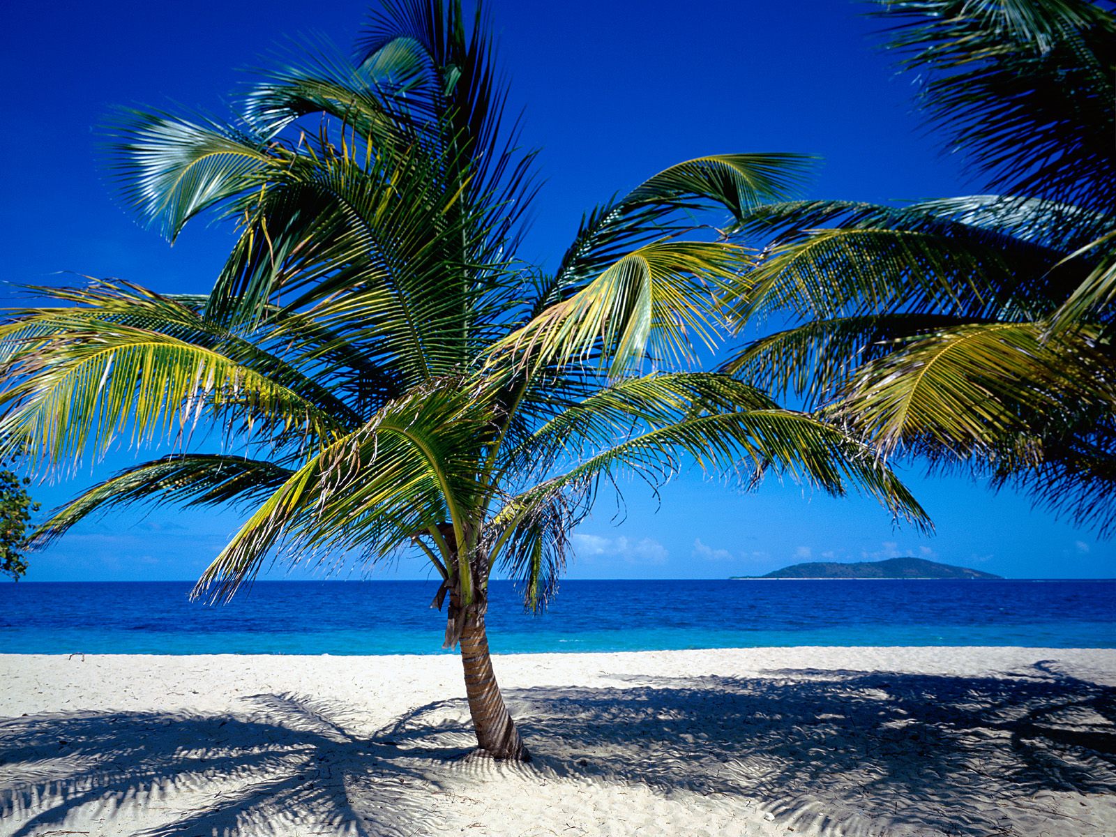 Playas paradisiacas parte XII (10 escenarios del mar)