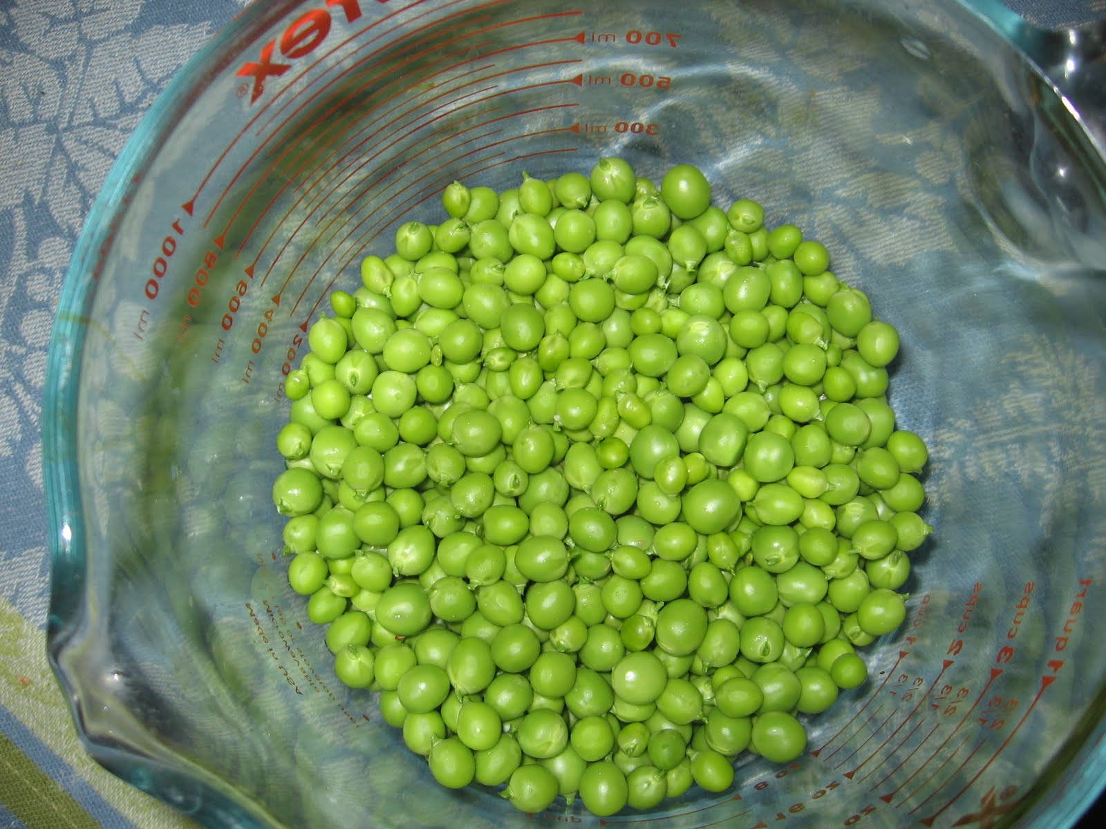 BB's Bountiful Backyard: Visualize Whirled Peas