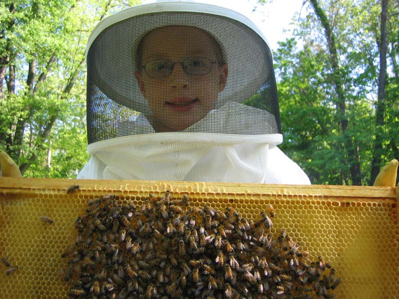 Motz Notes: Bee Keeping Motz Style!