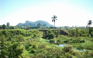 Secretos de Mi Cuba: En Guane, Pinar del Río, Cuba - Parte 5