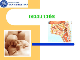 Blog Odontología 2ºB 2009: Clase Deglución