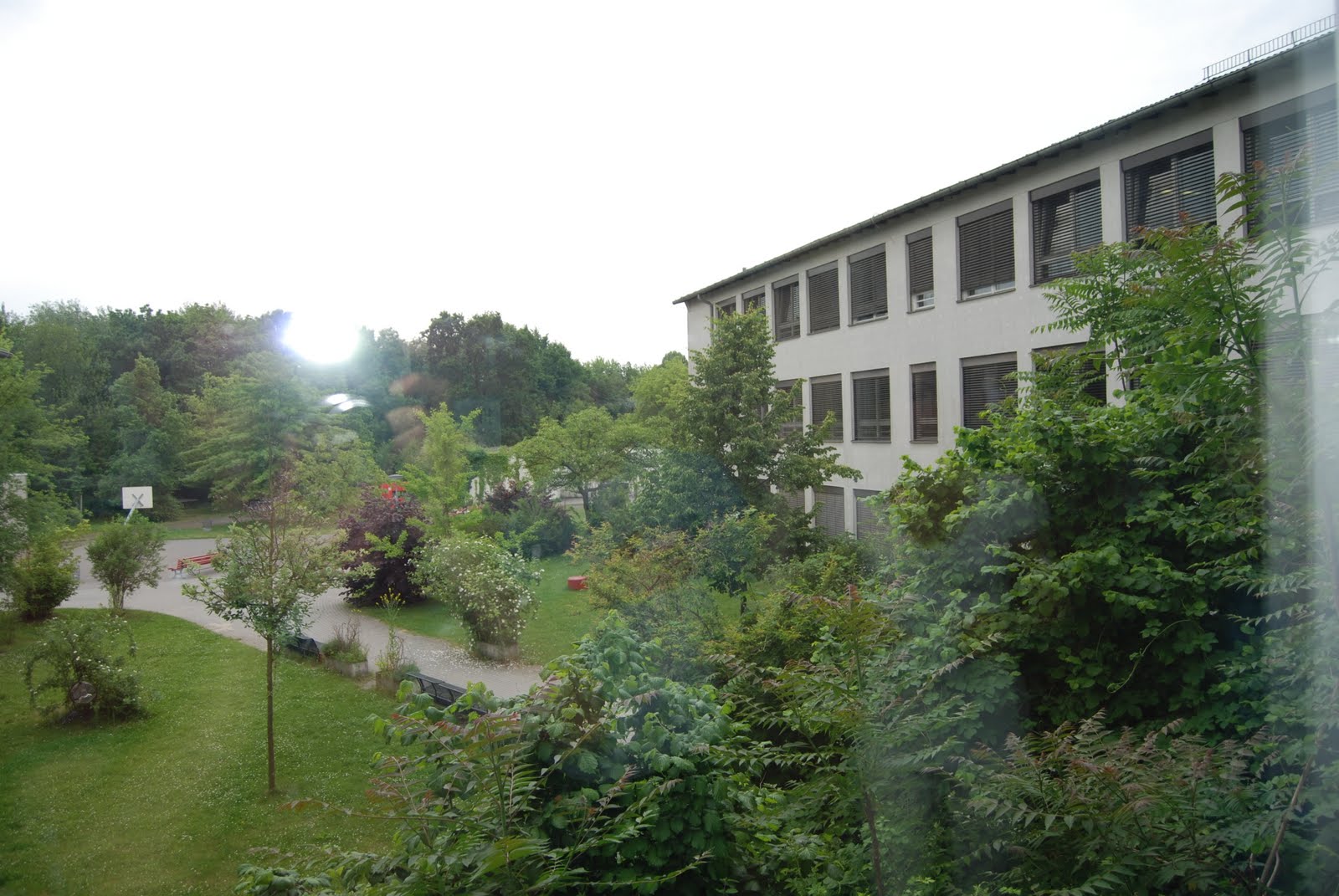 Principal Sciarretta's Berlin Blog: Photos from Albert Einstein Gymnasium