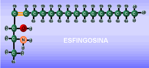 Biología Celular "Membrana Plamática": ii) Lípidos y fluidez de membrana