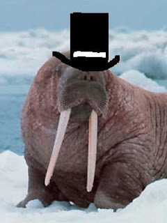 Puddingwife: walrus, the