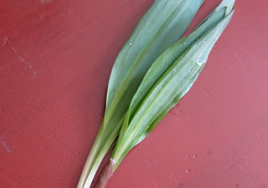 Grill A Chef: Ramp Burps