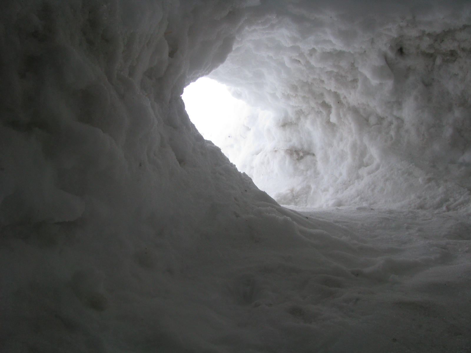 Our hazardous attempt at life: Snow Cave